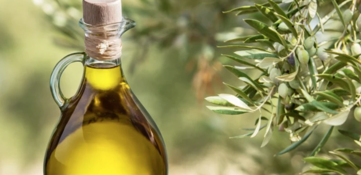 Help Lower Cancer Cells With Extra Virgin Olive Oil – 41 Olive